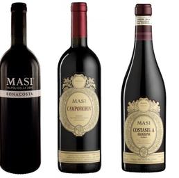 Il Gruppo Masi di Verona chiude il 2013 a 69 milioni di ricavi : l ...