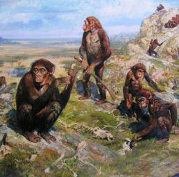 1925: Il bambino di Taung (Australopithecus africanus)