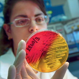 Meno tasse sul rientro dei cervelli - Il Sole 24 ORE